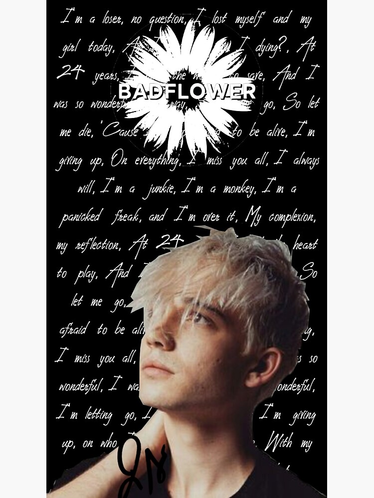 "Badflower '24' Lyric Art" Sticker for Sale by iamsteve09 | Redbubble