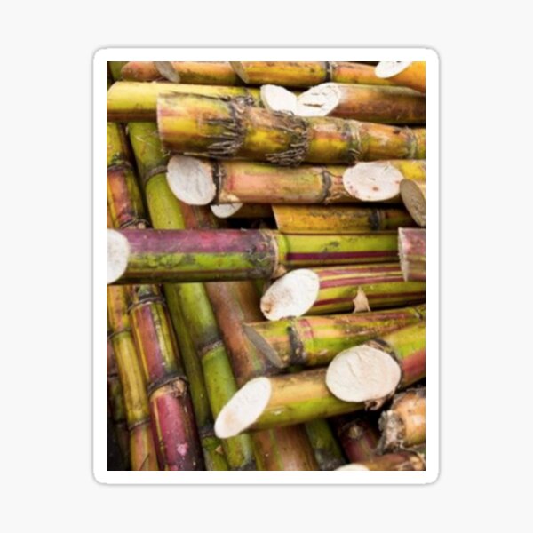 Sugar Cane Stickers | Redbubble