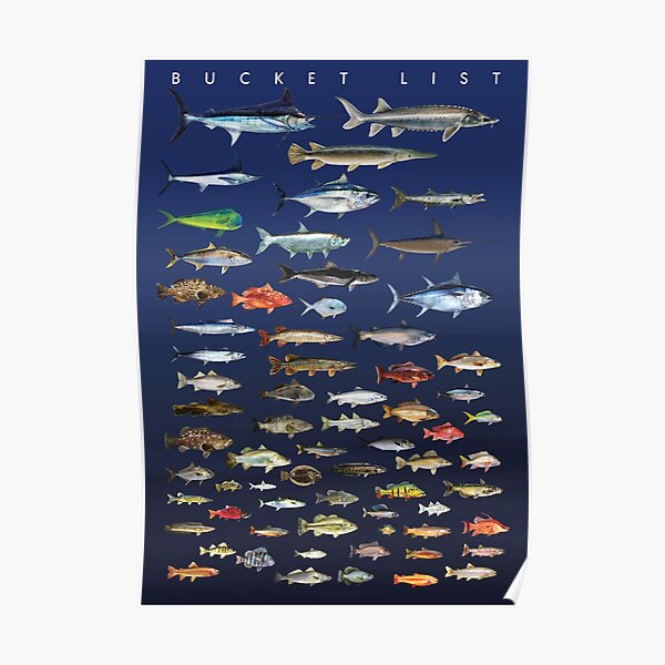 "Fishing Poster Bucket List" Poster for Sale by lureguru | Redbubble