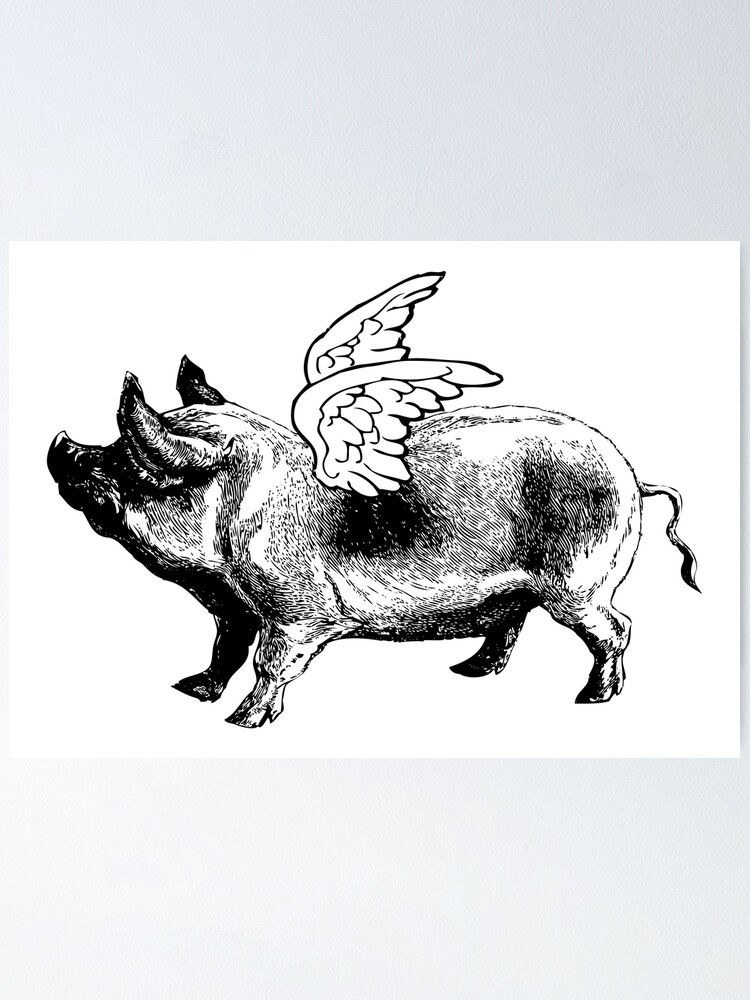Póster «Cerdo con Alas | Flying Pig | Cuando los cerdos vuelan | Cerdos ...