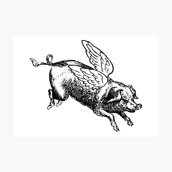 Lámina fotográfica «Cerdo con Alas | Flying Pig | Cuando los cerdos ...