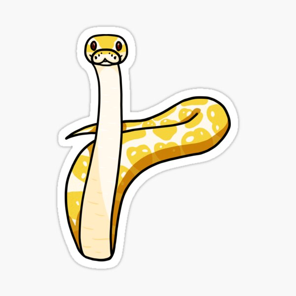 "Albino Ball Python Scoping" Sticker by Galactichem | Redbubble