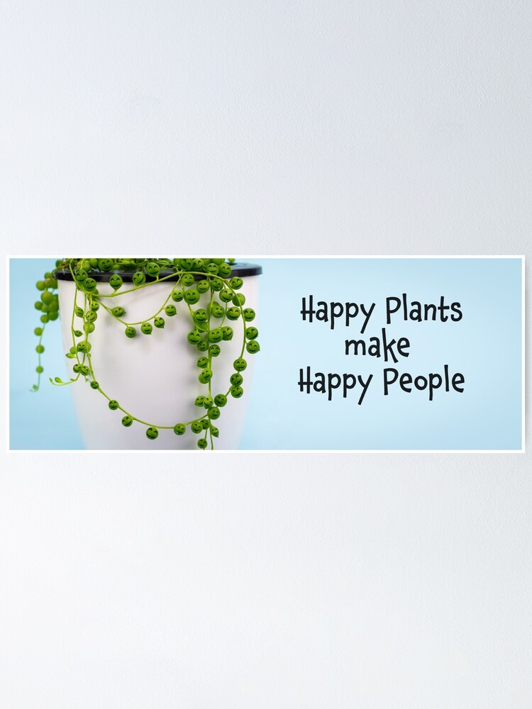 Póster «Planta de casa con cara feliz en cuentas, Happy Plants make ...
