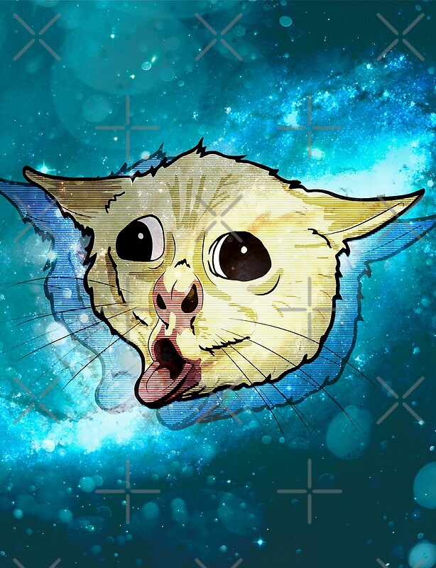 "Meme Cat on Space" by LicencaPoetica | Redbubble