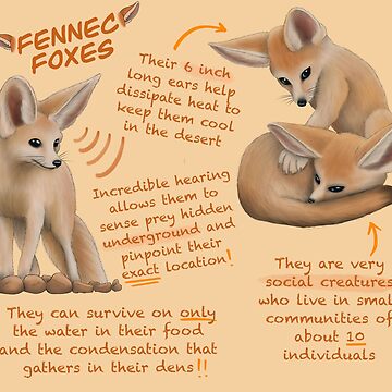 "Fennec Foxes Fun Facts" Poster for Sale by troyanthonyart | Redbubble