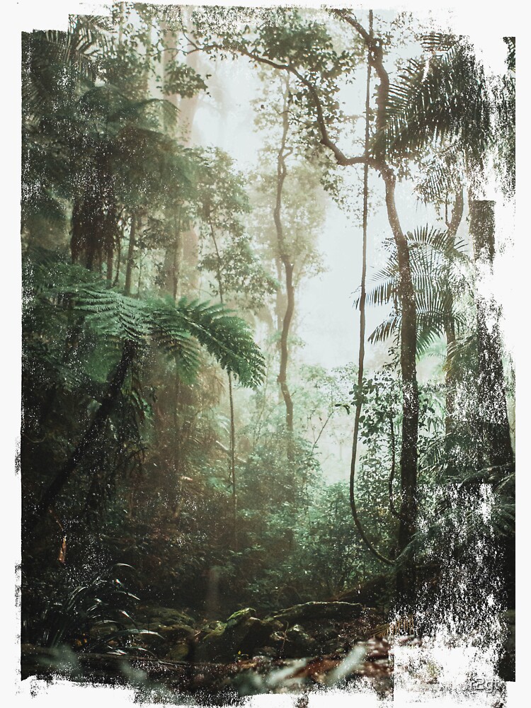 "Grudge Forest" Sticker for Sale by r2gt | Redbubble