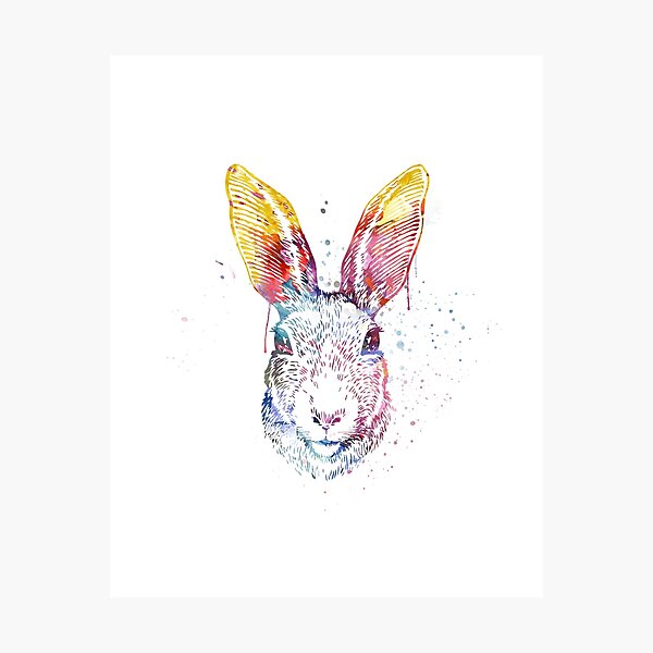 Lámina fotográfica «Conejo Sabio Conejo Ilustración Acuarela Pintura ...