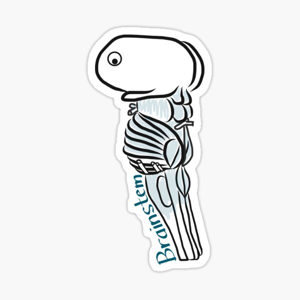 "Brainstem cartoon" Sticker for Sale by BerryArtBiz | Redbubble