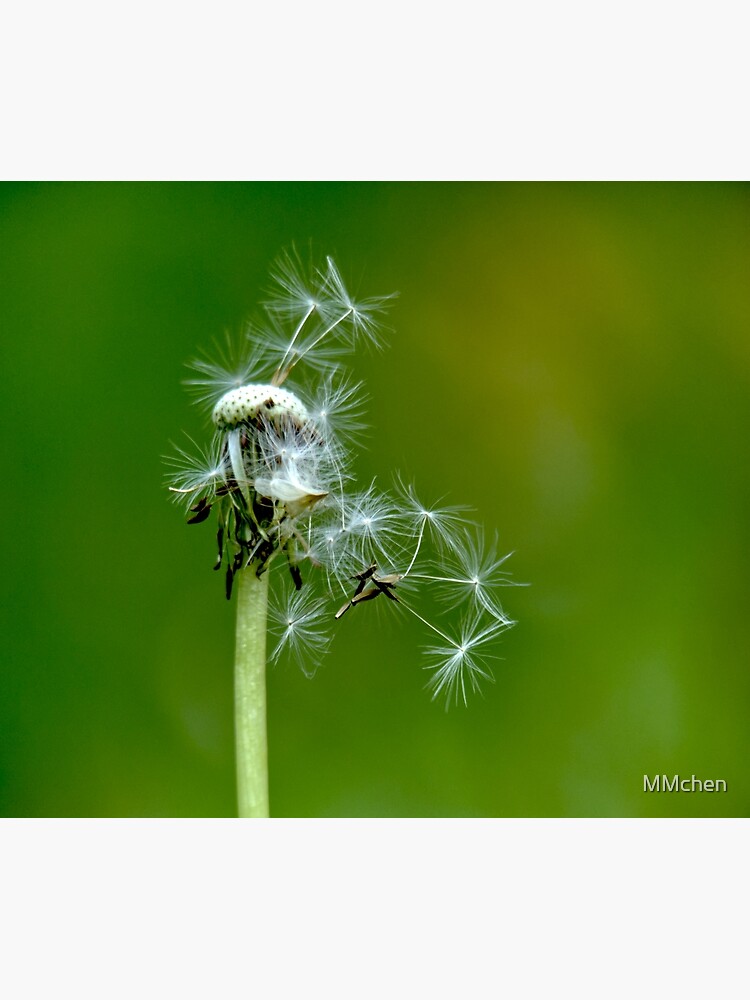 Where You Send The Seeds Into The Premium Matte Vertical Posters sold ...