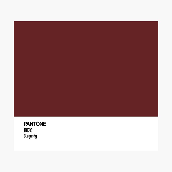 "Pantone - Burgundy" Photographic Print by HouseofBalloon | Redbubble