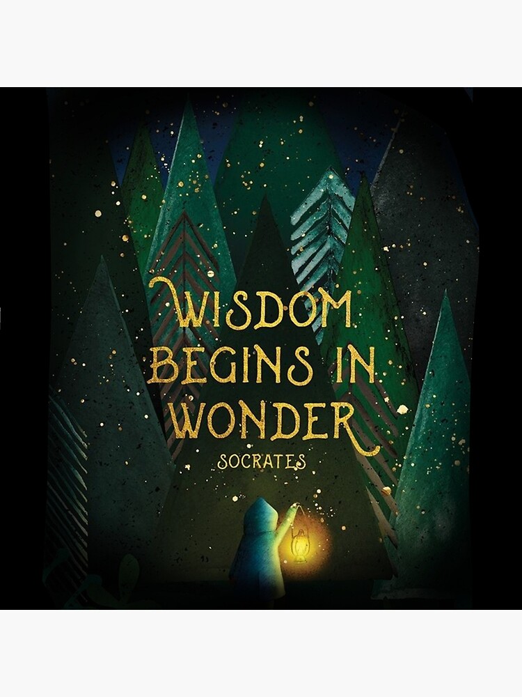 Wisdom begins where wonder is..... Premium Matte Vertical Poster sold ...