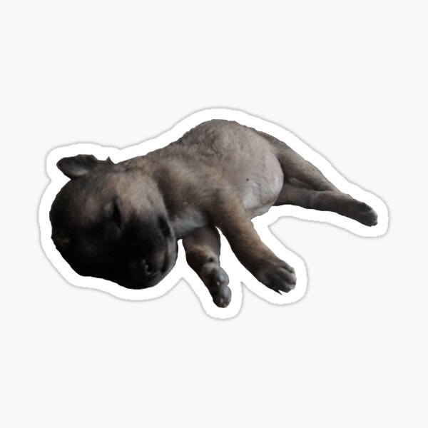 "snoozing puppy" Sticker by CrimpnClimb | Redbubble