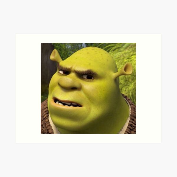 "Shrek 3 - Shrek Confused" Art Print by volkaneeka | Redbubble