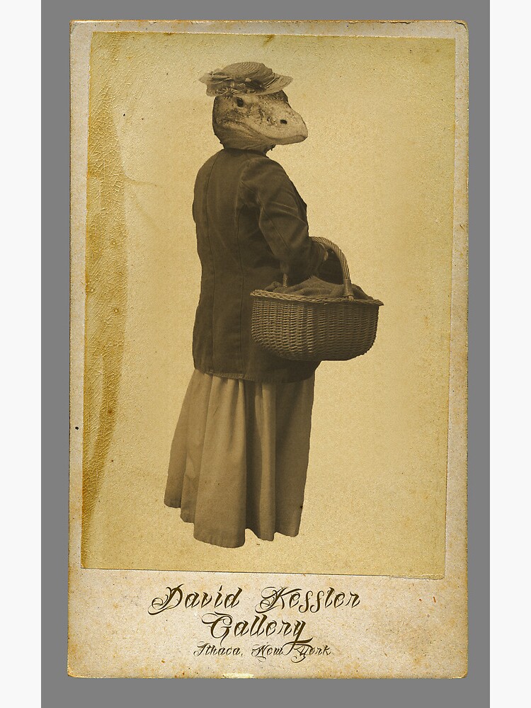 "Lady Komodo" Poster by smoocherz1 | Redbubble