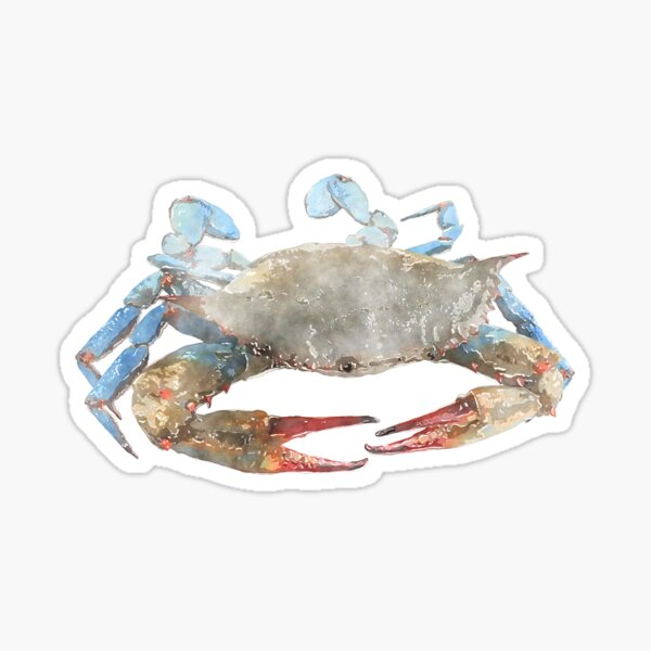 "Blue Crab Design 2" Sticker by wilsongraphics | Redbubble