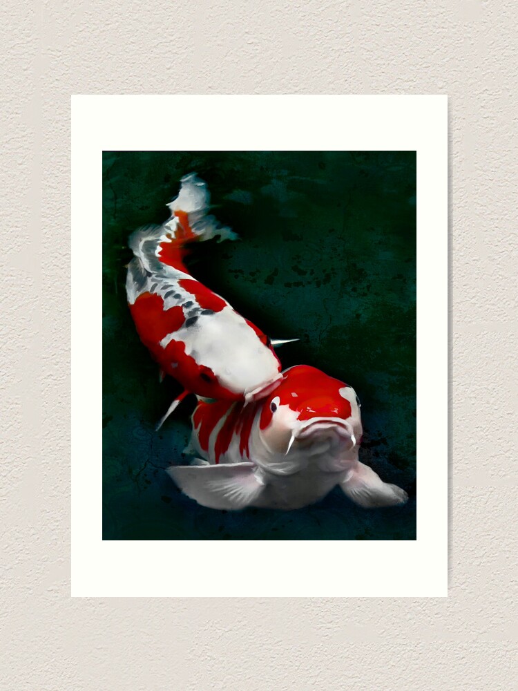 "Koi fish kissing" Art Print by rubinphoto | Redbubble