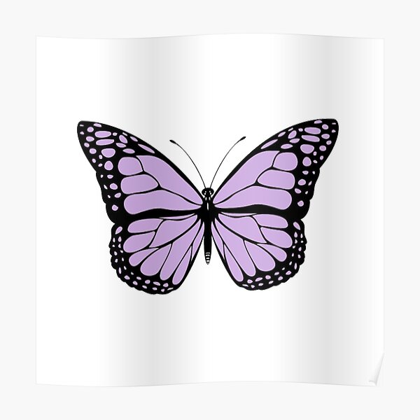 "Purple Butterfly" Poster for Sale by MakennaWhaley | Redbubble