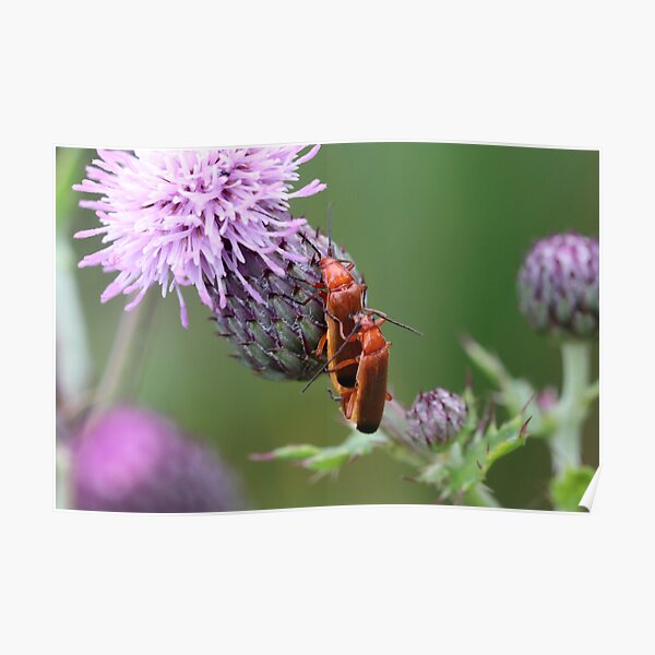 "Hang on Baby, Almost There!" Poster for Sale by cuprum | Redbubble