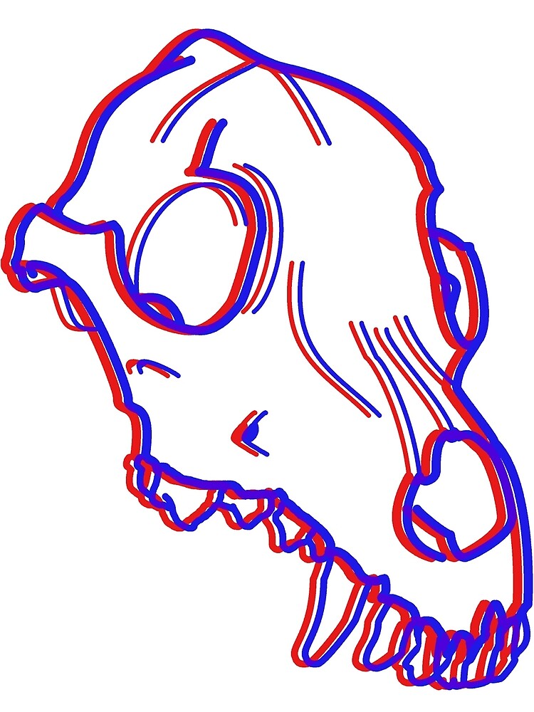 "Fox Skull - 3D" Art Print by Boucherro | Redbubble