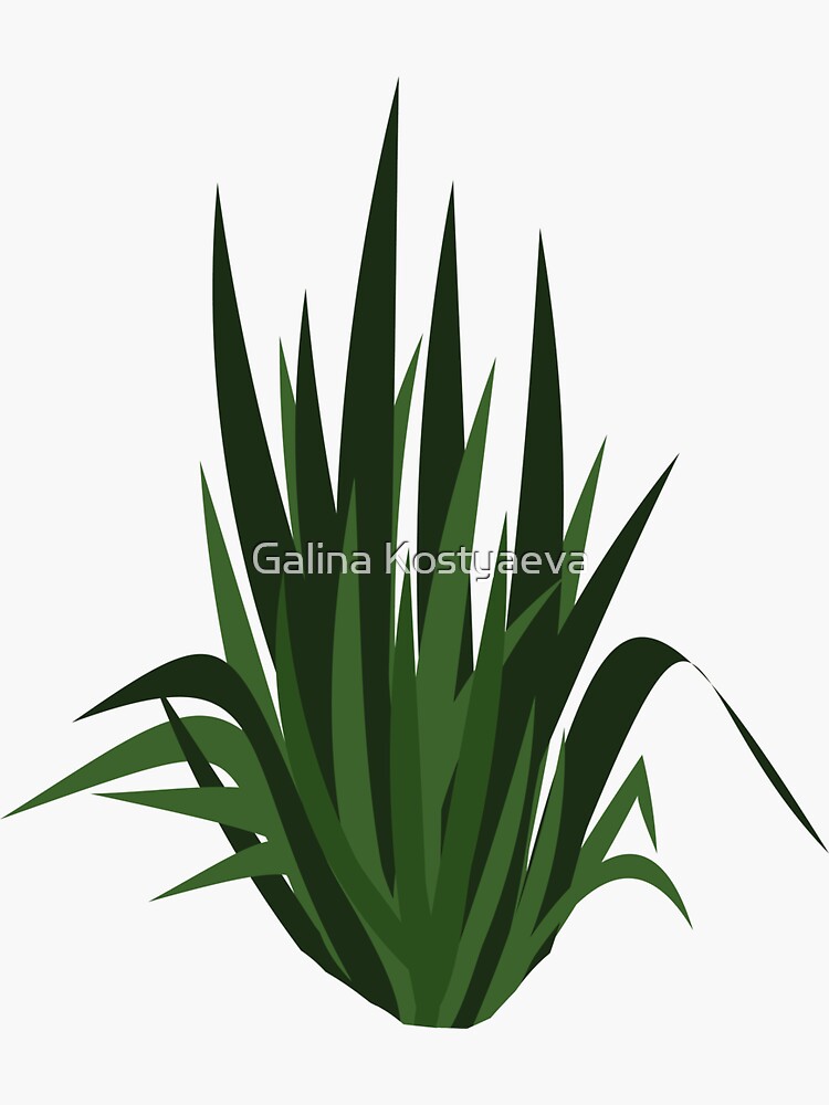 "Yucca green, plant" Sticker by Renodel | Redbubble