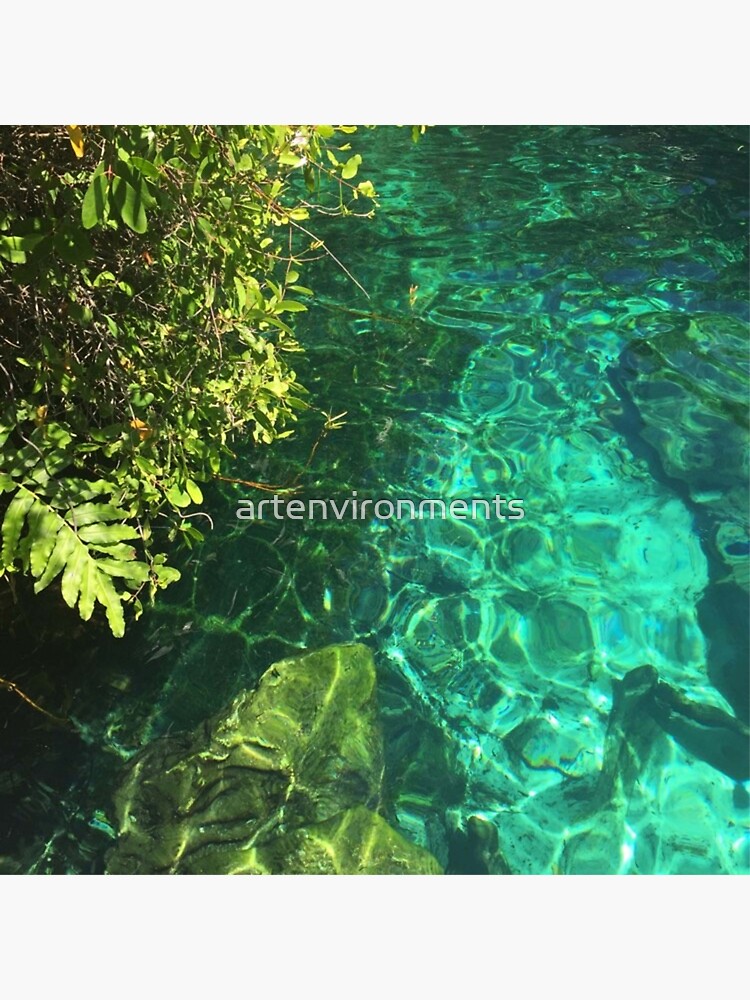 "Crystal Cenote / Tulum Mexico / Turquoise Water / Fern Gully / Clear ...