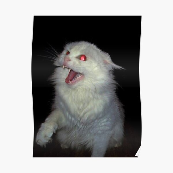 "Angry Cat " Poster for Sale by Kamisamon | Redbubble