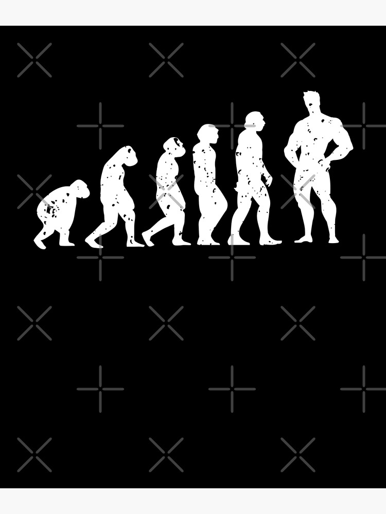 "Evolution of a Bodybuilder Novelty bodybuilder gift for men" Poster by ...