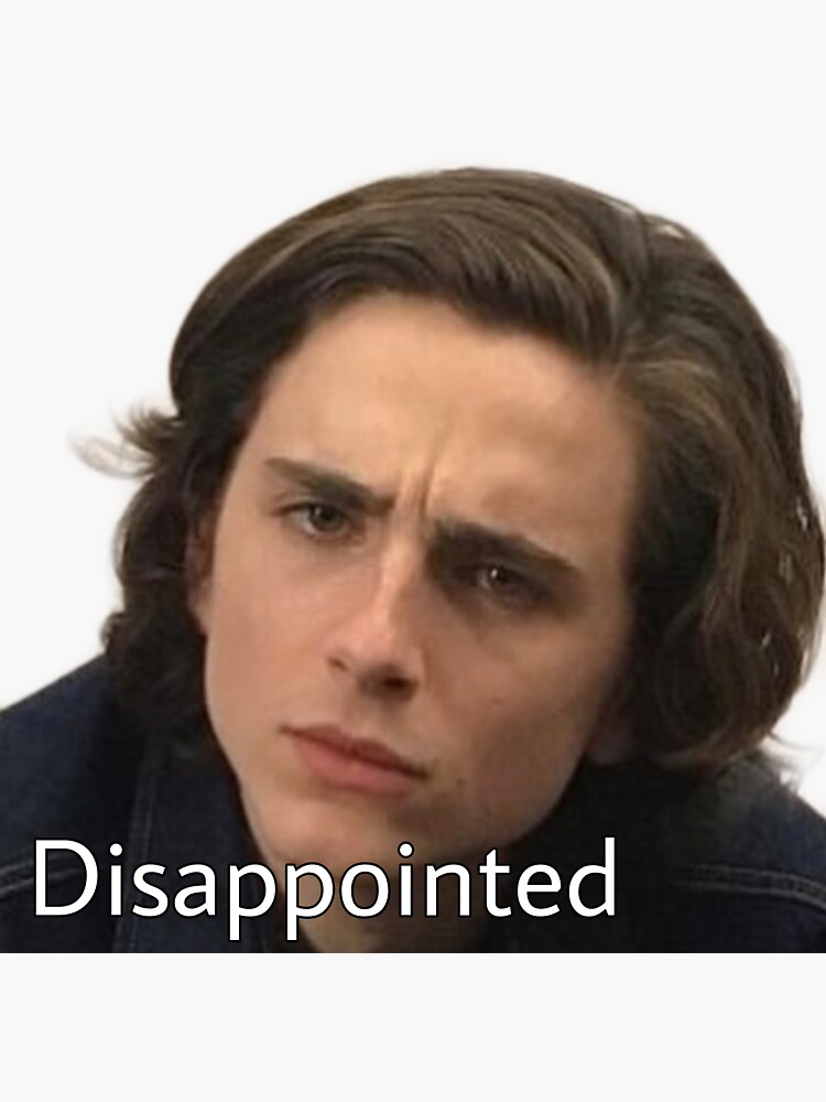 "Timothee Chalamet Meme" Sticker by Verac11 | Redbubble