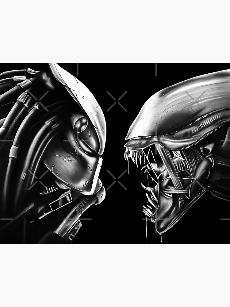 Avp Drawings