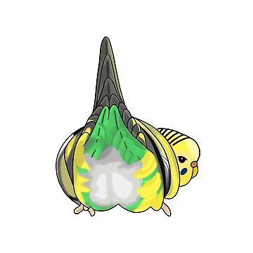 "Sassy Budgie Parakeet Butt" Sticker for Sale by Koalaslifestyle ...