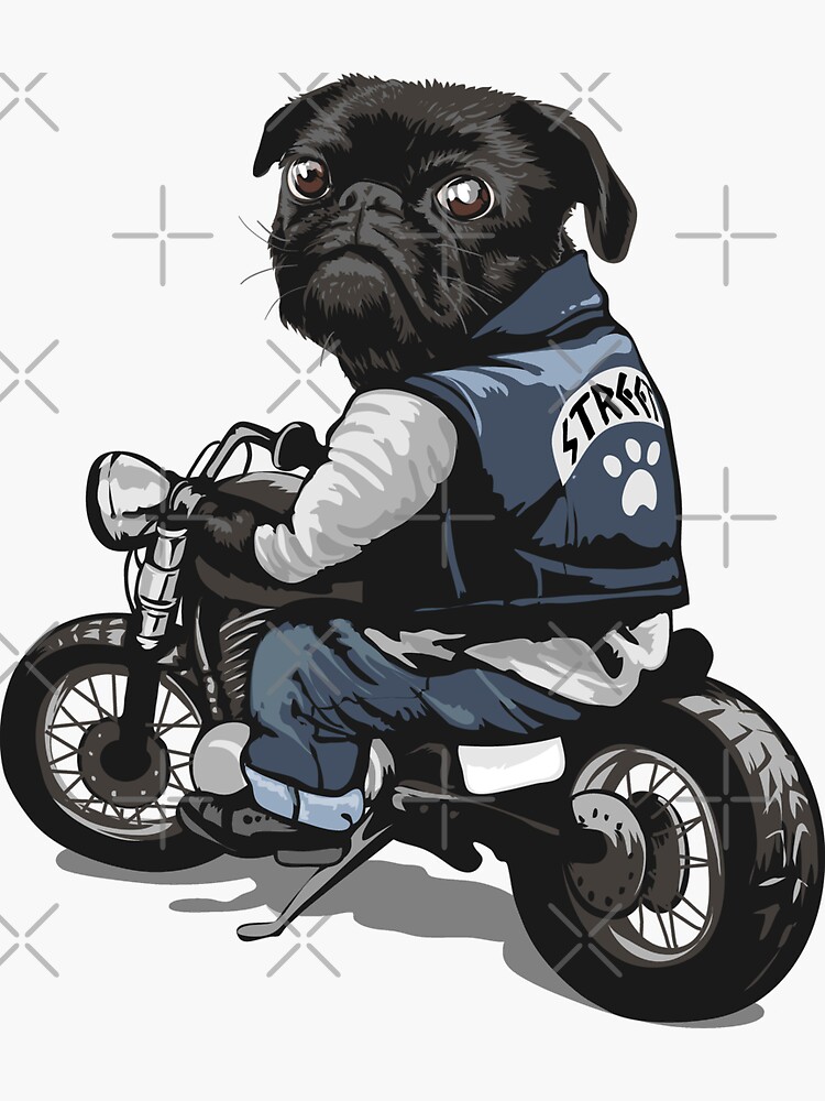 "Pug Dog Riding Motorcycle – Pug Boss Moto Rider" Sticker by pugsworld ...