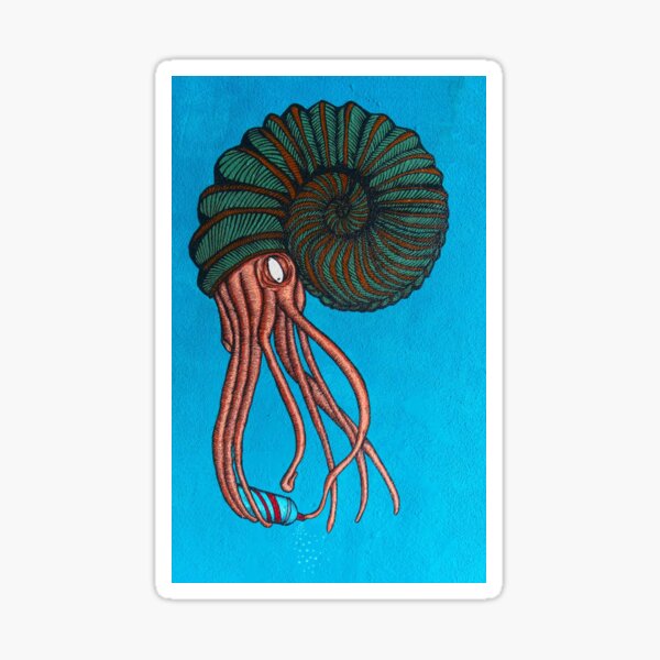 "Ammonite Street Art" Sticker by ginastera-66 | Redbubble