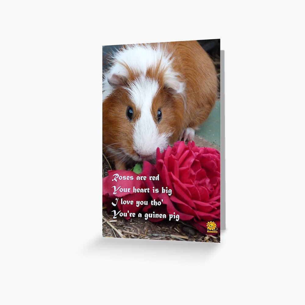 "Guinea Pig Valentine" Greeting Card for Sale by Munnaminx | Redbubble