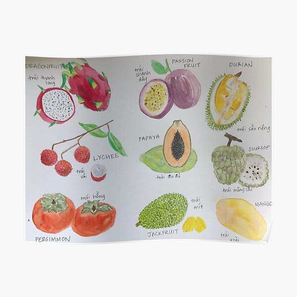 "Fruits in Vietnamese " Poster by Jenuineviet | Redbubble