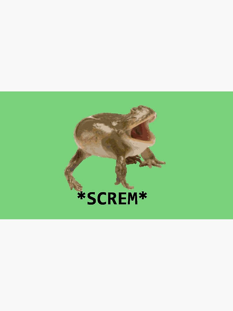"Froggie SCREM meme " Poster by harri-19 | Redbubble
