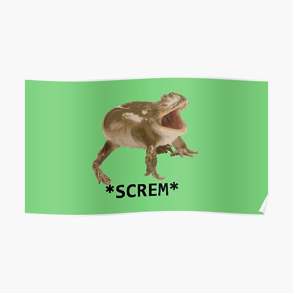 "Froggie SCREM meme " Poster by harri-19 | Redbubble