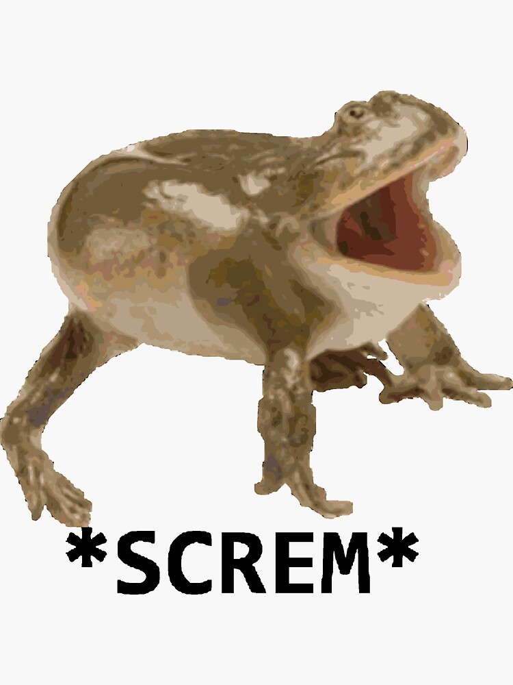 "Froggie SCREM meme " Sticker for Sale by harri-19 | Redbubble