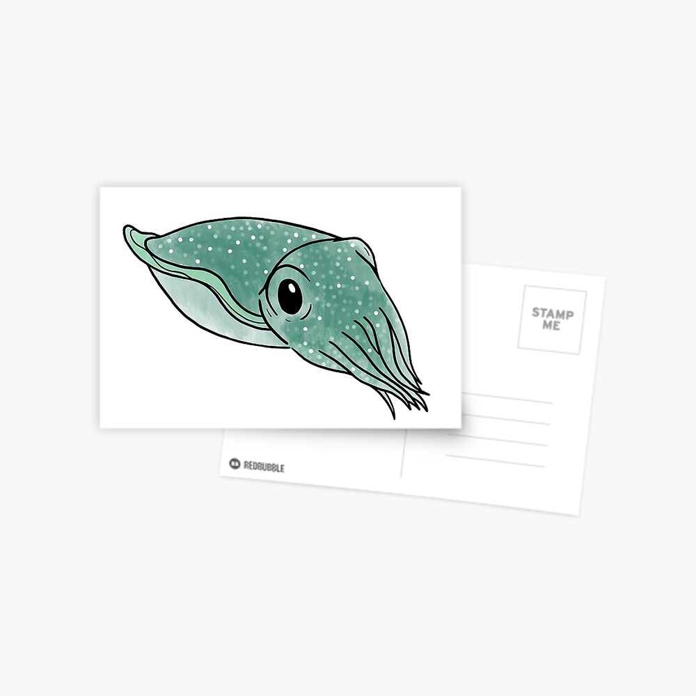 "Cute Cuttlefish" Sticker for Sale by emmaandrew | Redbubble