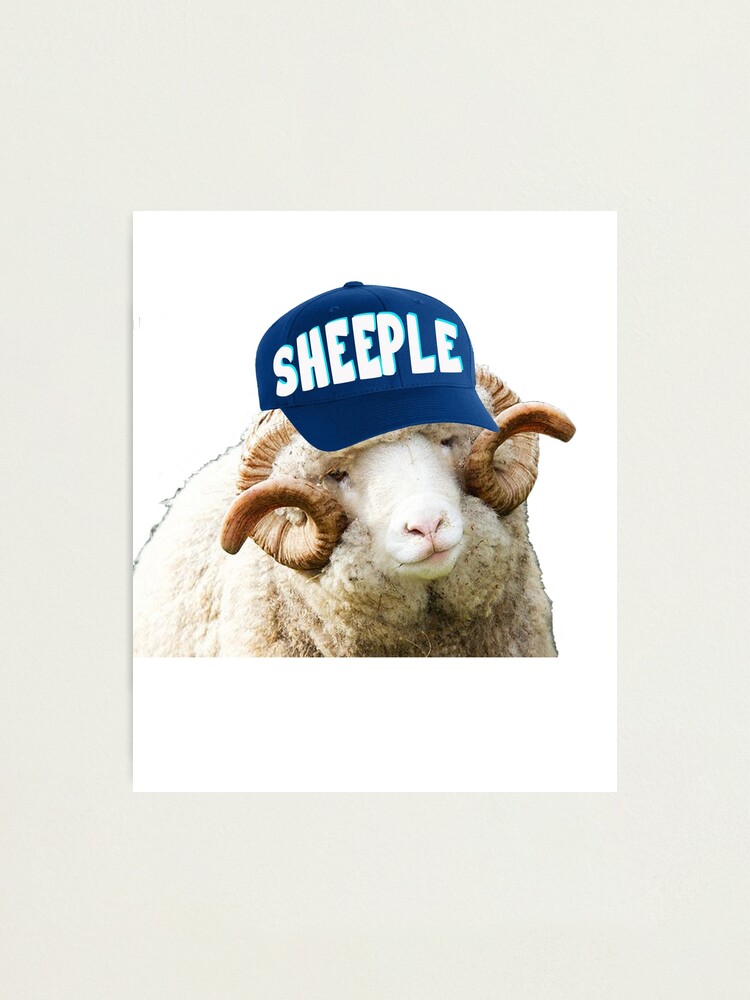 Political Sheep Memes Amazon.com: Power To The Sheeple Funny Political