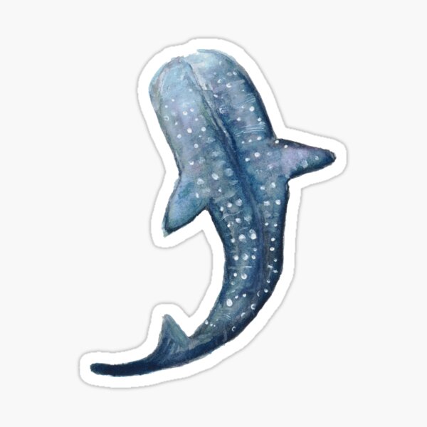 Whale Shark Stickers | Redbubble