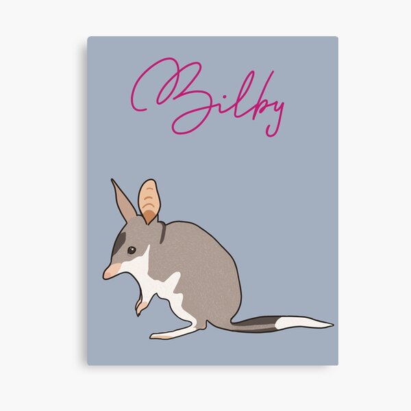 Bilby Canvas Prints | Redbubble
