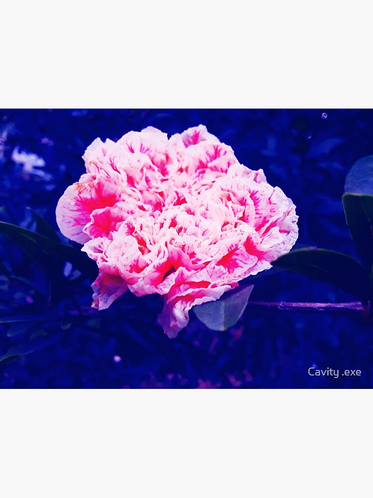 "Vaporwave aesthetic flower" Poster by GlitchedCherry | Redbubble