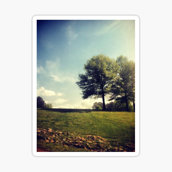 "Field" Sticker by jasminjanell21 | Redbubble