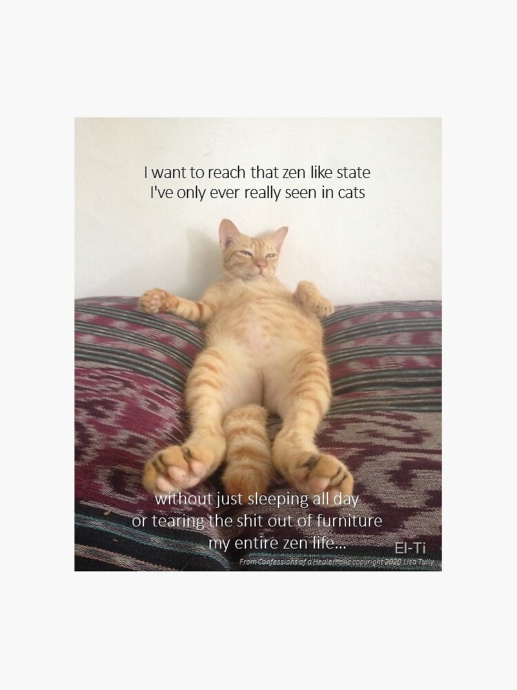 "I want to reach that zen like state I've only ever seen in cats ...