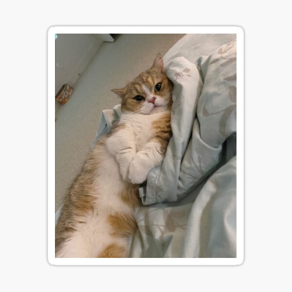 "sad and cute sleepy cat in bed" Sticker by LiLkaaa | Redbubble