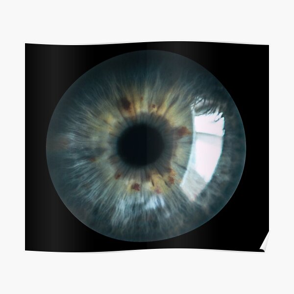 "Eyeball" Poster for Sale by 90sOE | Redbubble