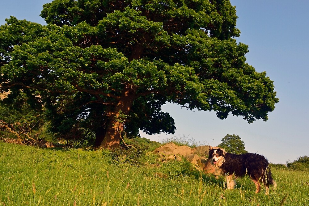 "Big." by Michael Haslam | Redbubble