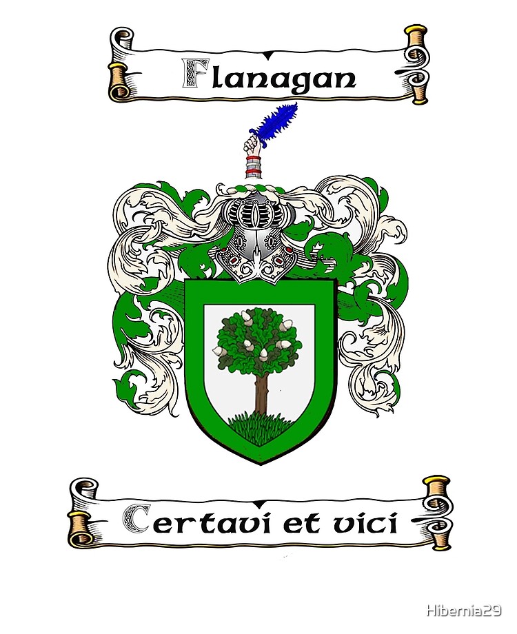 "Flanagan Family Crest and Motto" iPad Case & Skin for Sale by ...