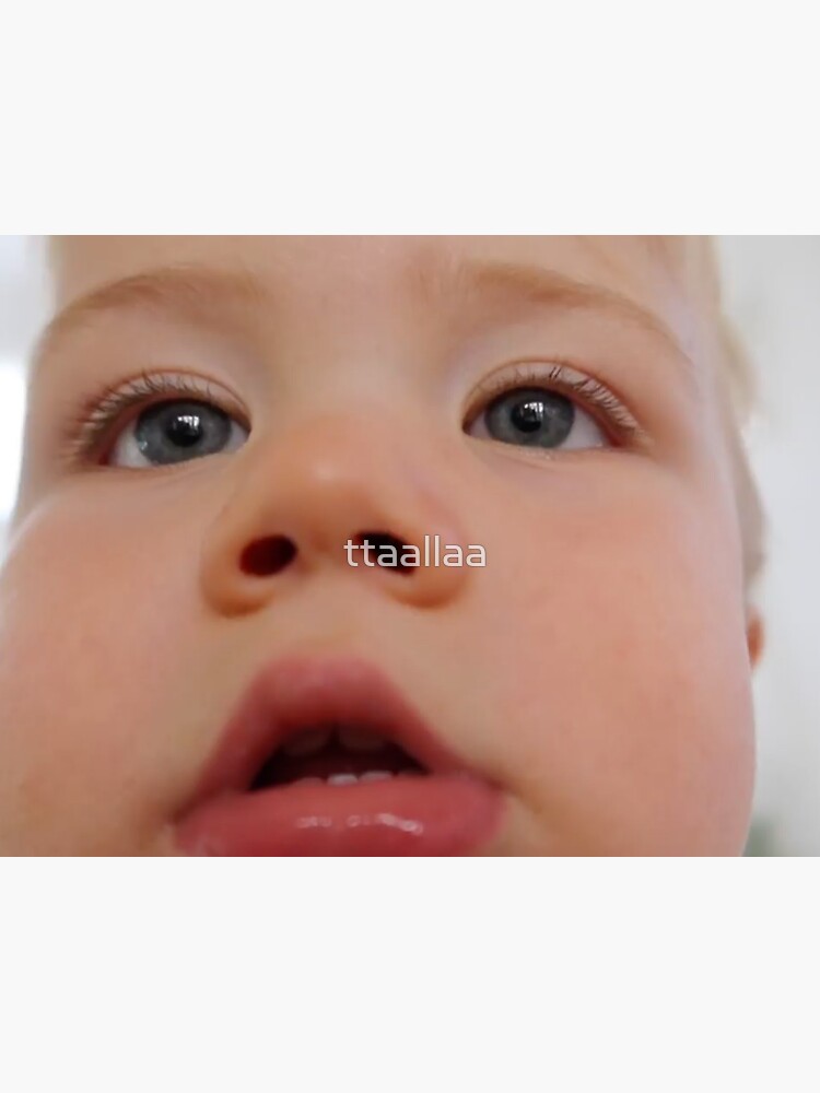 "Flynn Stocklin stealing the camera" Sticker by ttaallaa | Redbubble