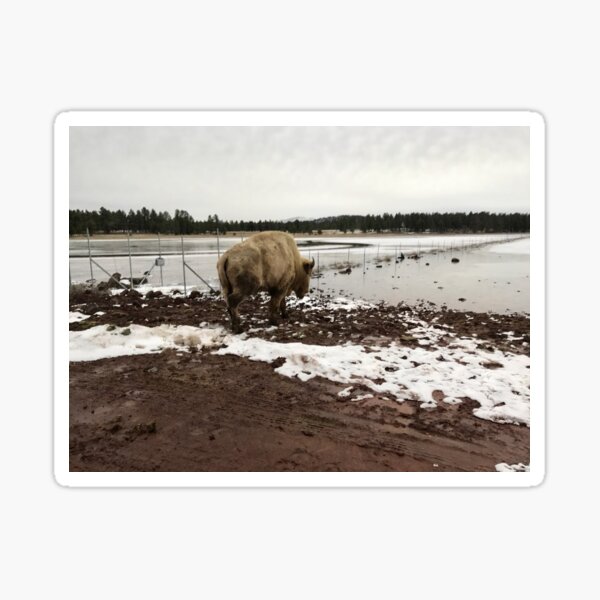 Bearizona Gifts & Merchandise | Redbubble